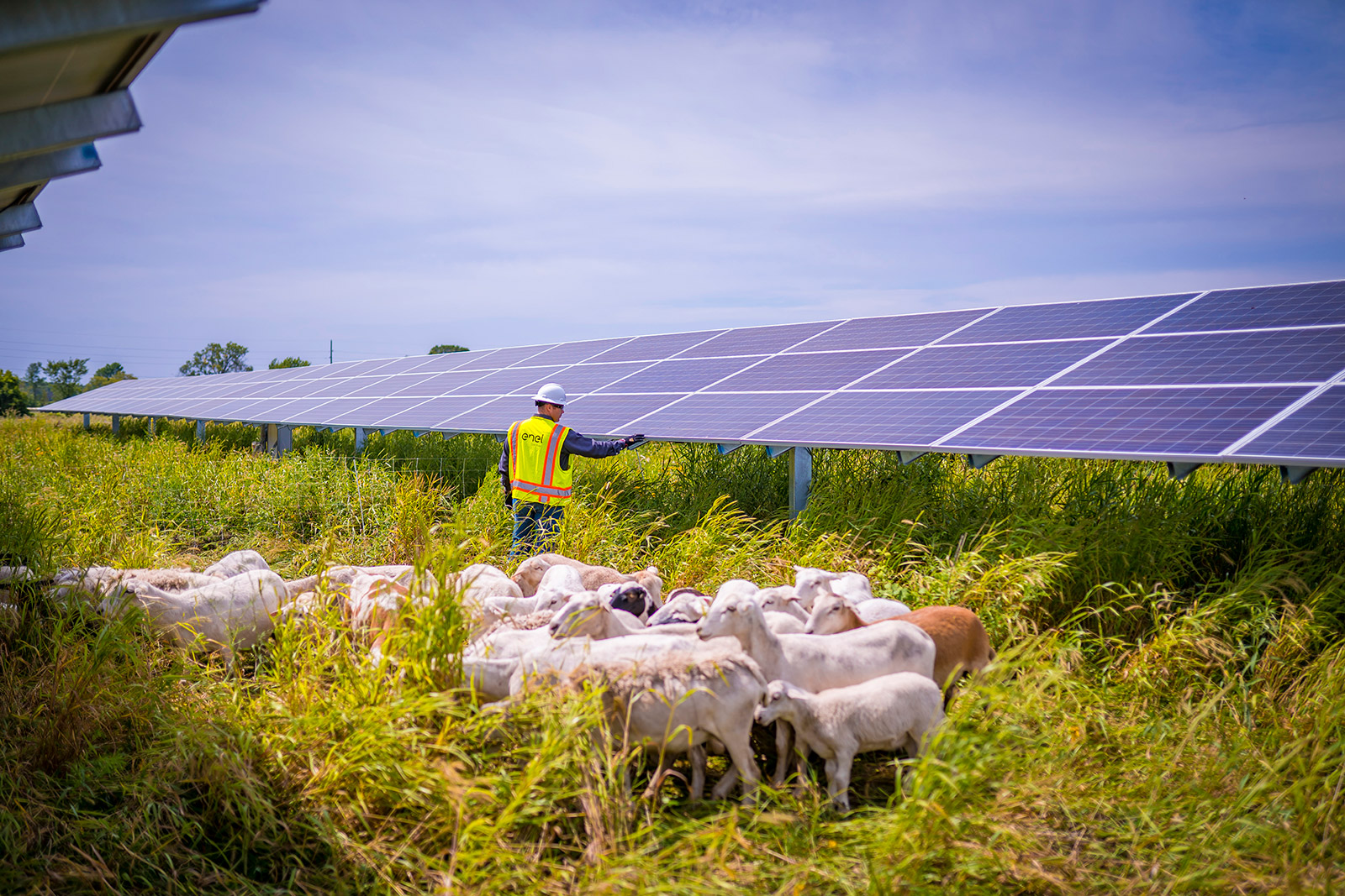 Uses Of Electricity In Agriculture