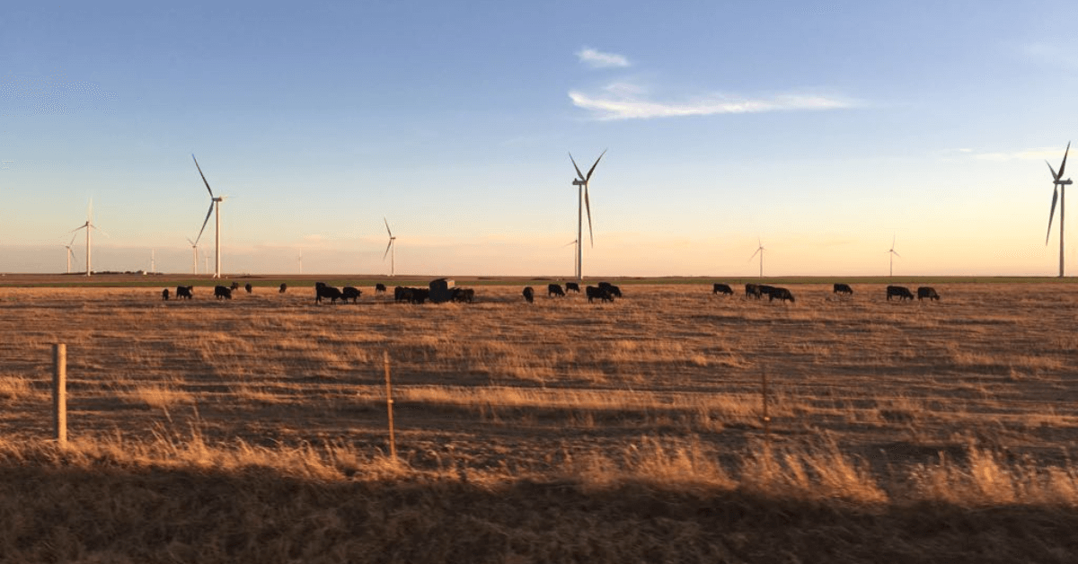 Building group's largest wind farm in US | Enel North America