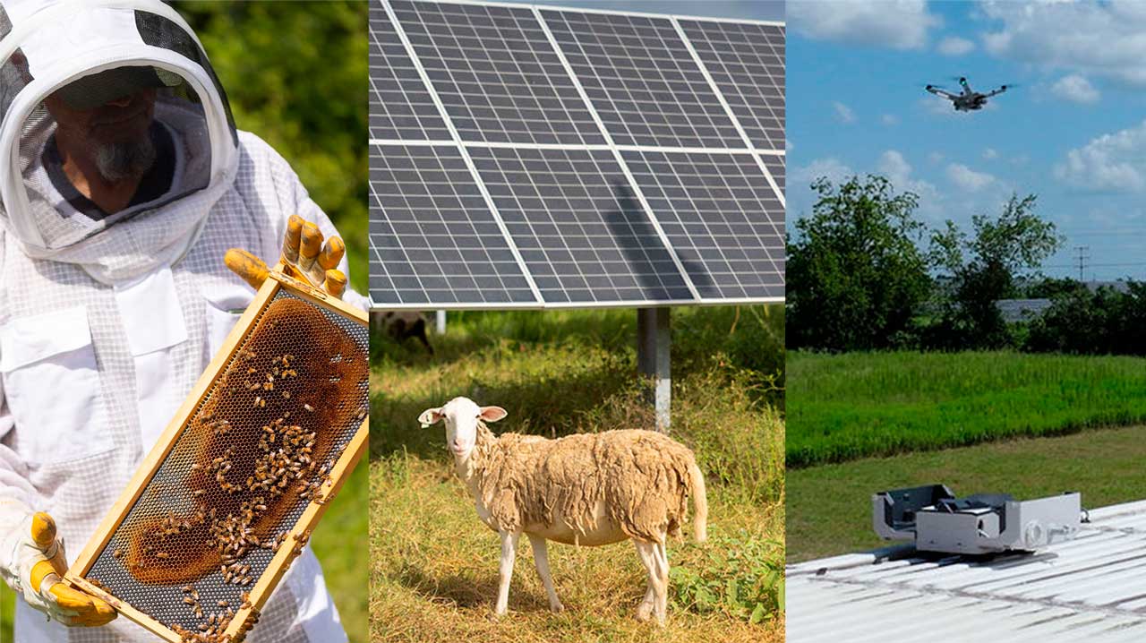 Blue Jay: The Blueprint for Solar in Texas