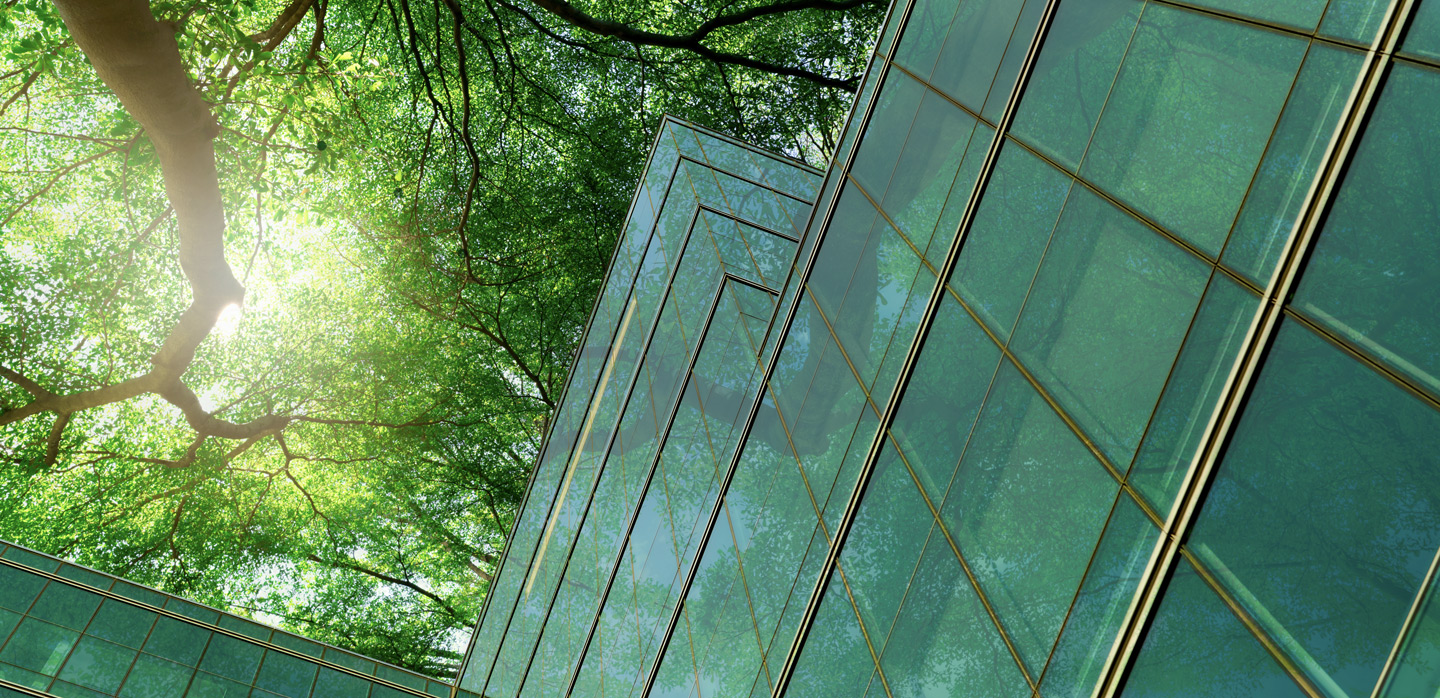 CSRD for US Companies | Enel North America