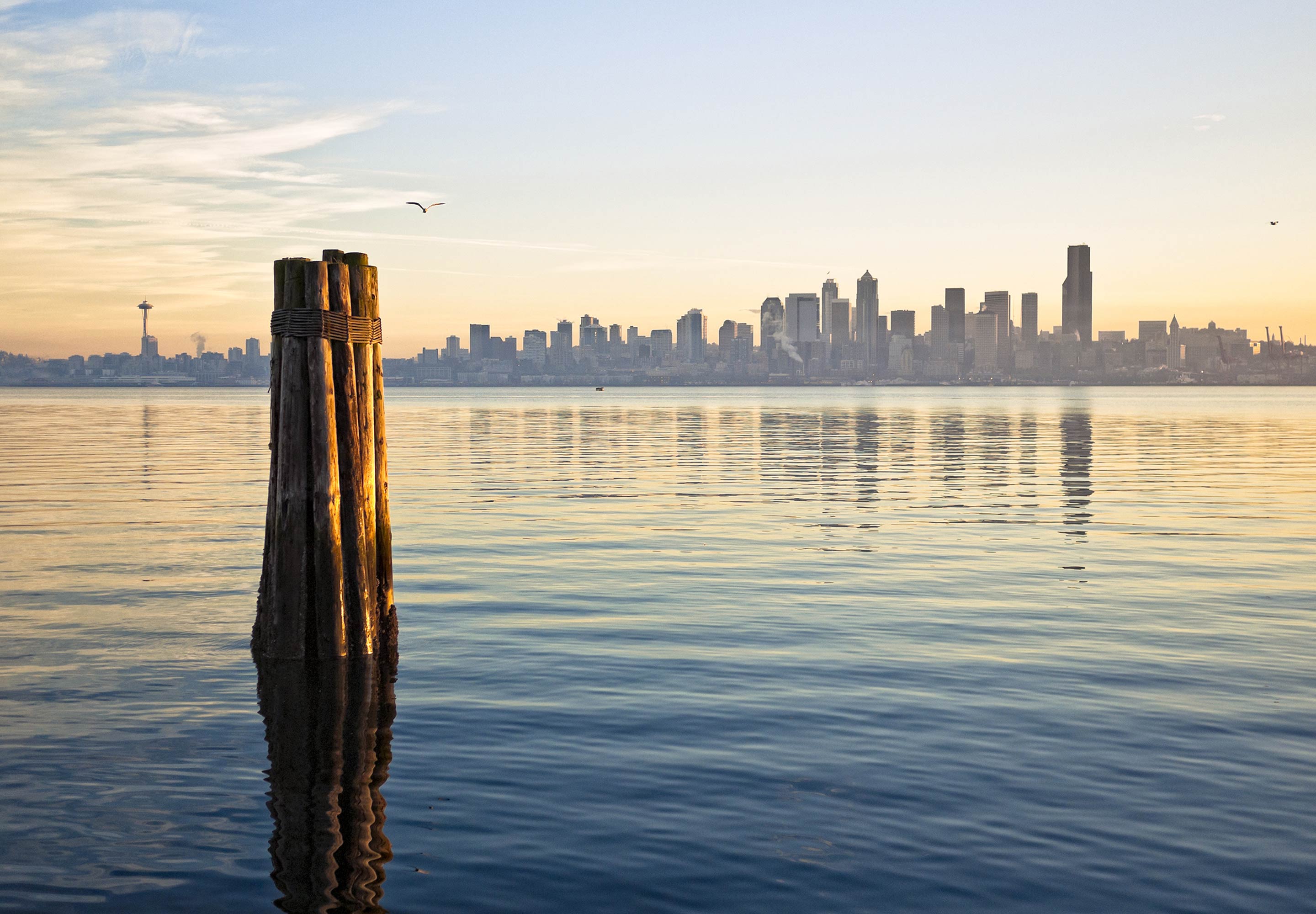 Puget Sound Demand Response | Enel North America
